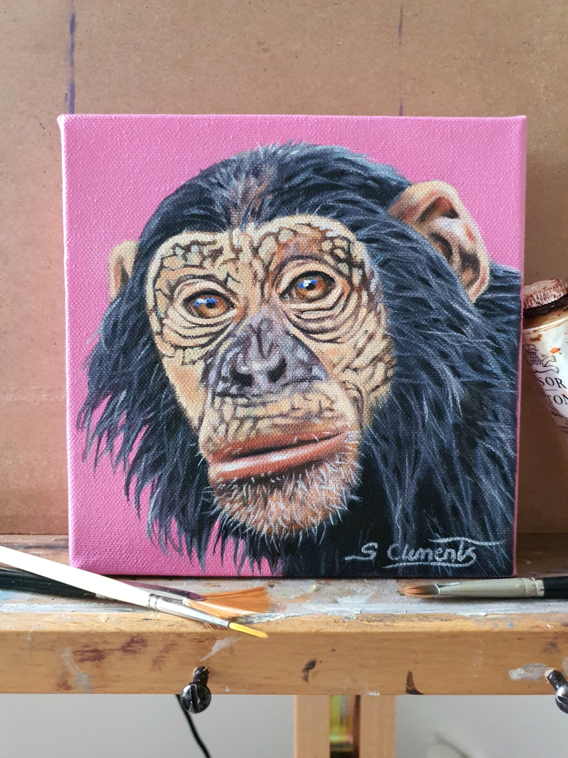 Original Chimpanzee Oil Painting – ‘Max’ – Sarah Clements Art